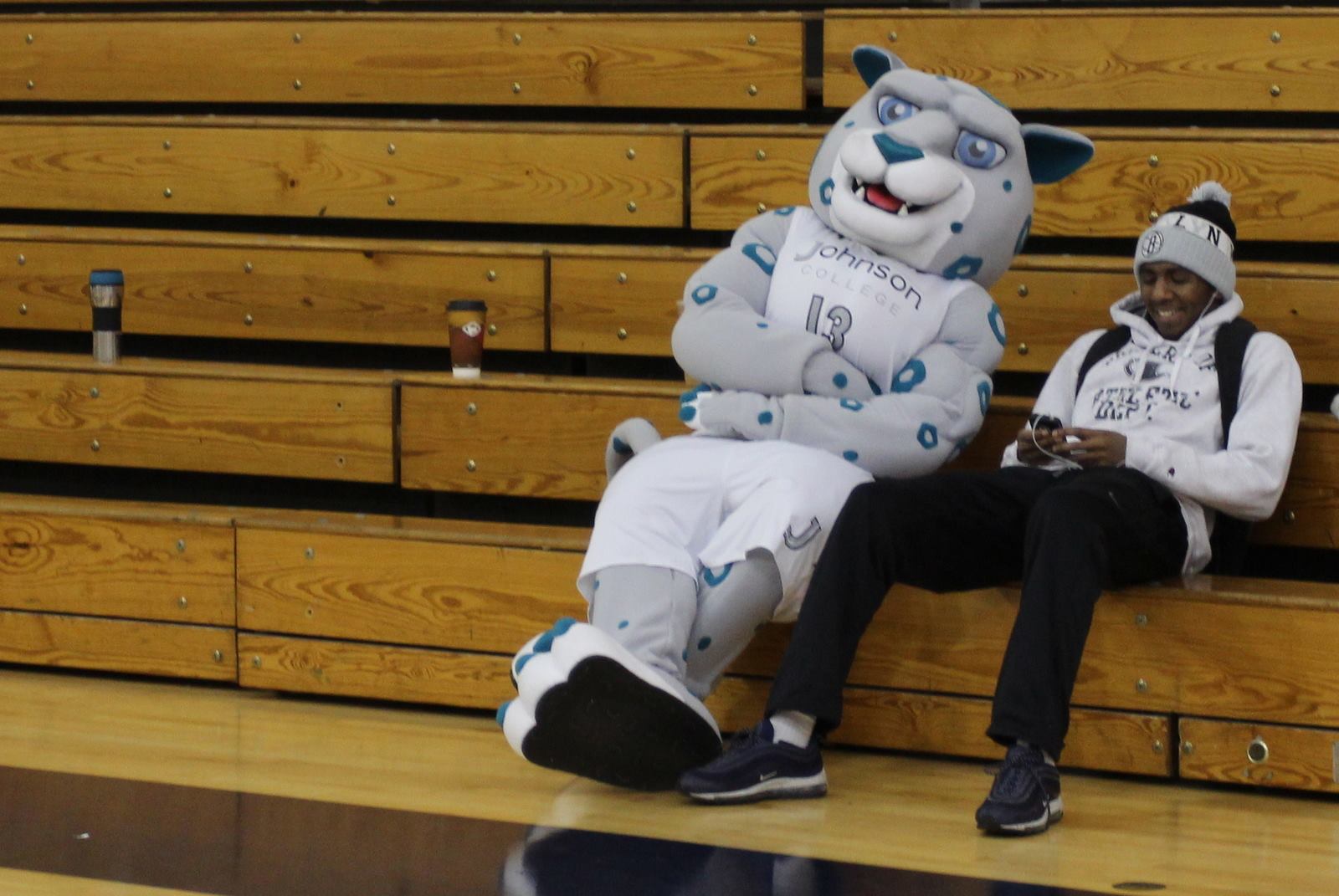 Store Your School Mascot Costume Safely for the Summer