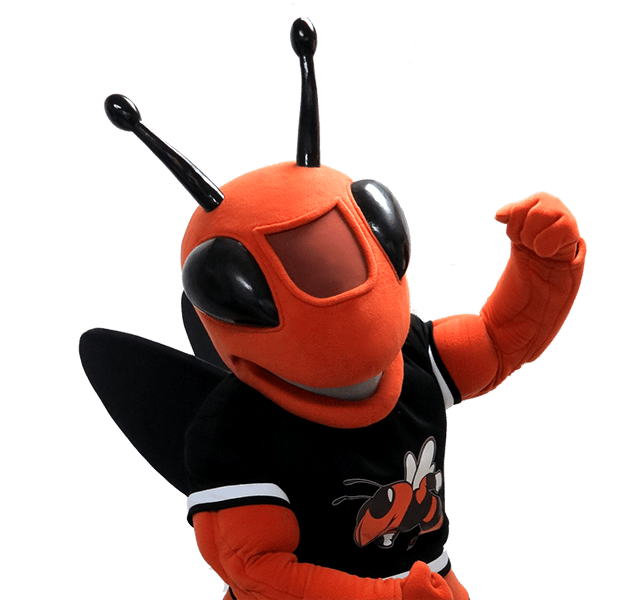 Arizona Custom Mascot Costumes