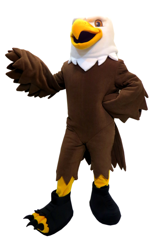 5 Popular Types of Mascots - From Caped Crusaders to Canines