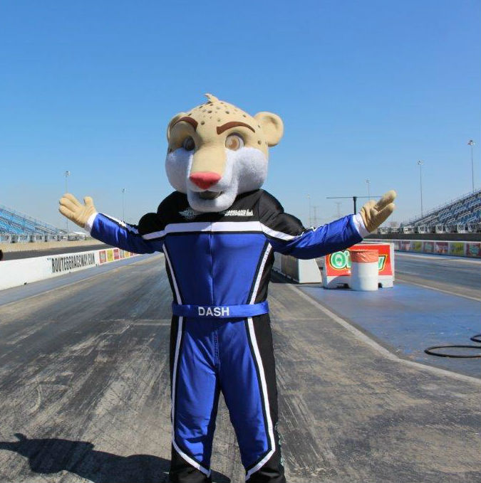 Festivals and Outdoor Sports: How To Keep Your Mascot Performer From ...