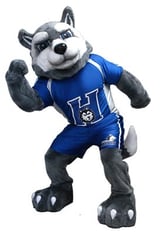 Types of Custom Mascots