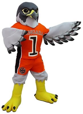Custom Soccer Team Mascots Design & Manufacturer