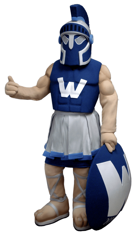 Custom Sports Teams Mascots Costumes Manufacturer